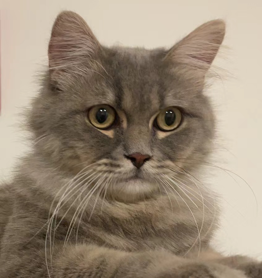 Wanner waves, tight-binding model and quantum geometry – Shuai Aris Chen